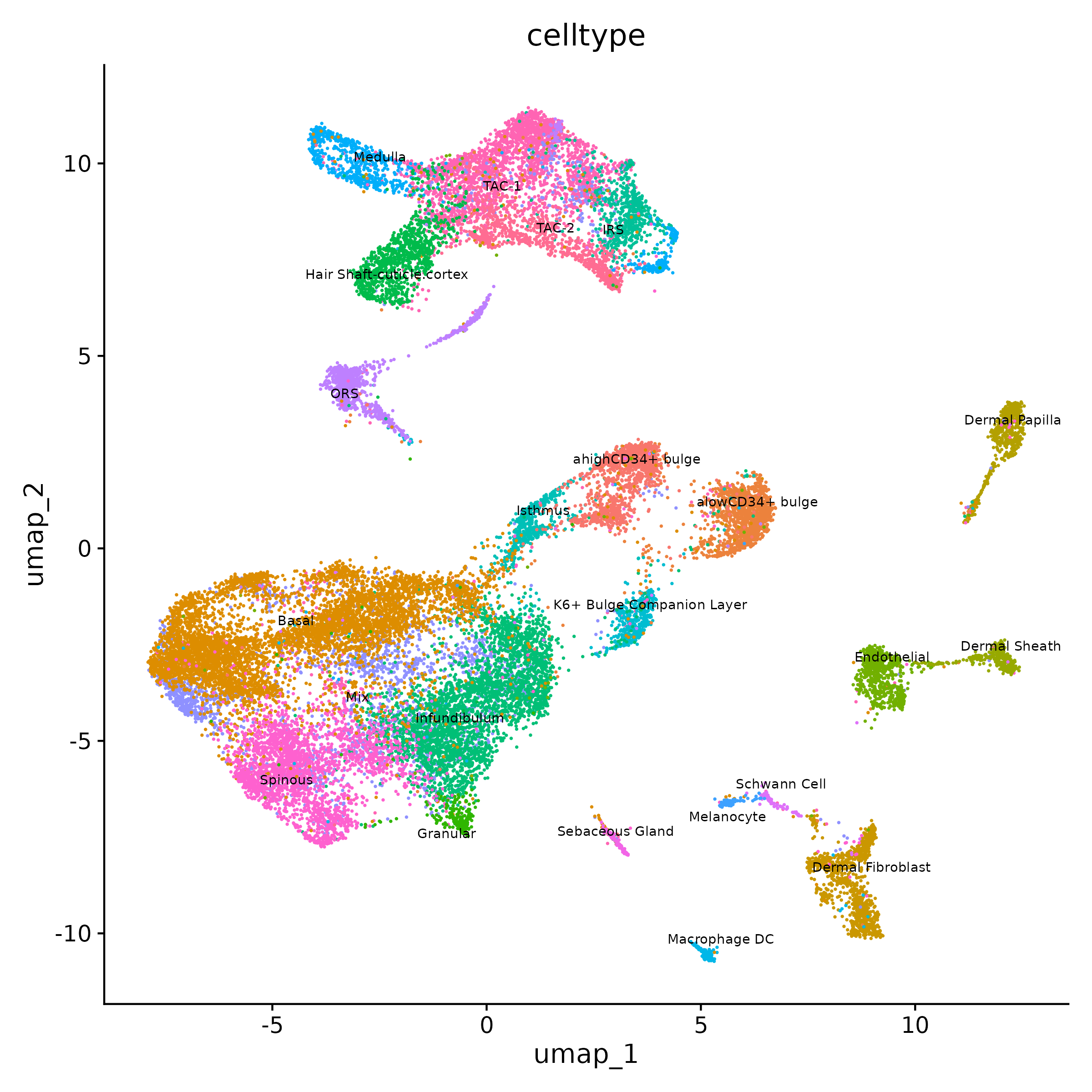 SCEG-HiC on paired scATAC-seq/RNA-seq data of mouse skin (aggregation) • SCEGHiC
